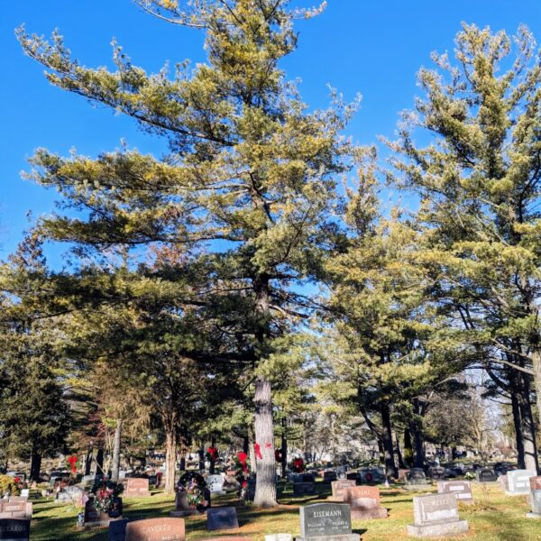 Home - Bethlehem Cemetery Ann Arbor, MI